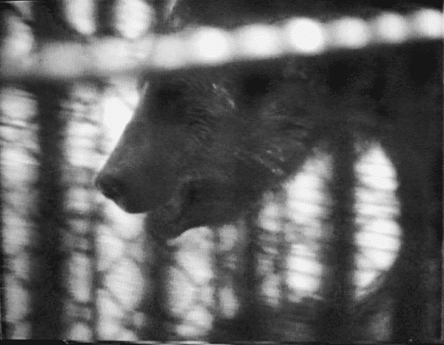 Simone Forti Exhibition - Musée d'arts de Nantes